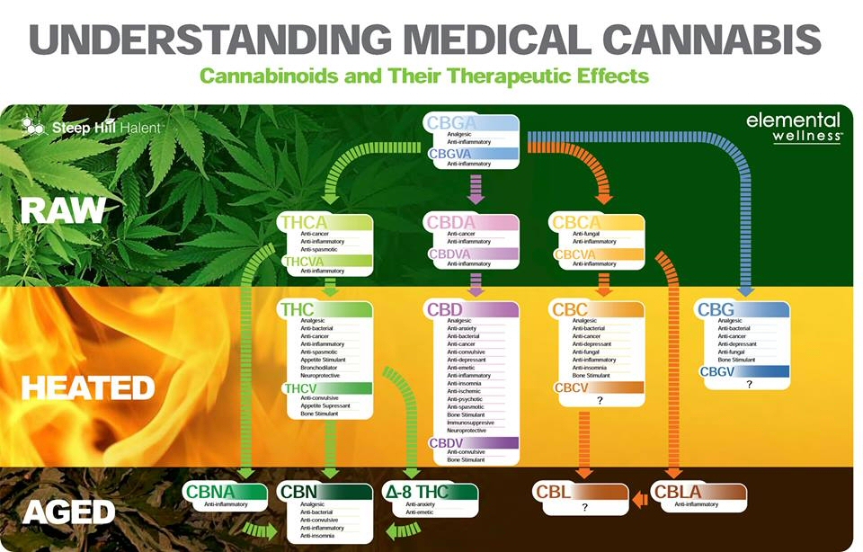 Understanding Medical Cannabis Graphic Chart Understanding Medical Cannabis Graphic Chart