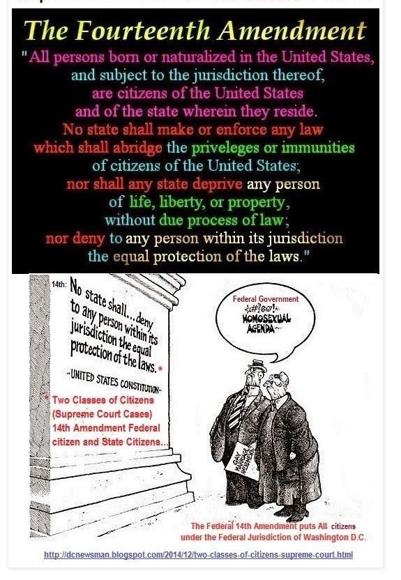 Two Classes of Citizens (Supreme Court Cases) 14th Amendment Federal ...